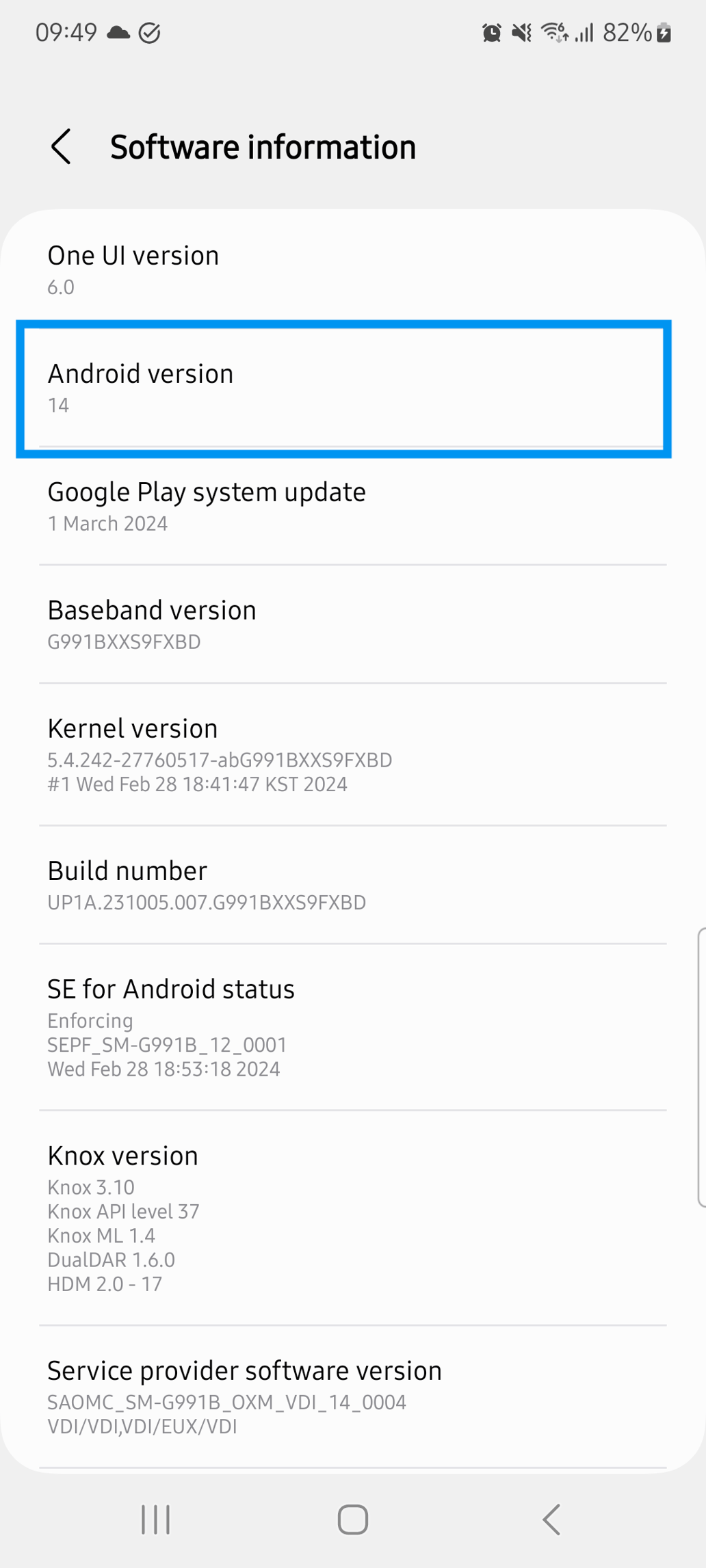 How to check your mobile software version?